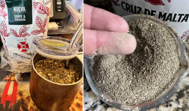 Best Yerba Mate Flavors Top Picks And Detailed Reviews